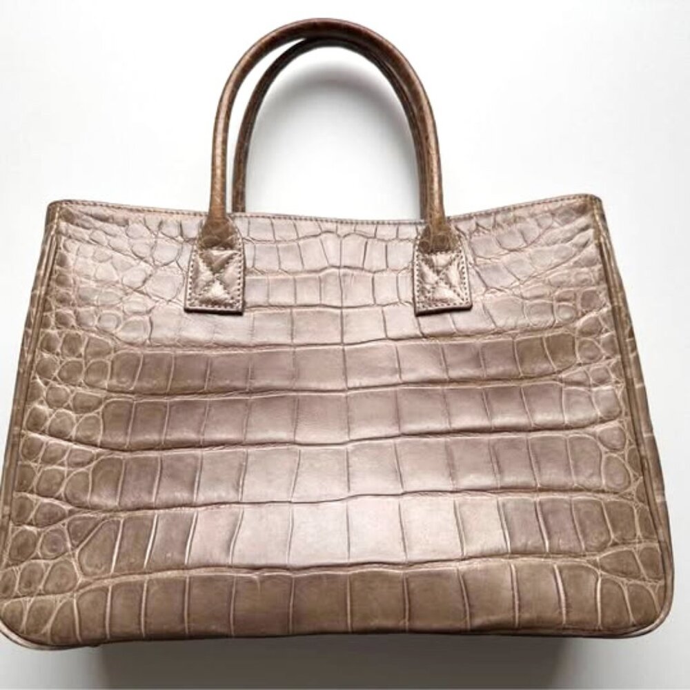Crocodile Skin Handbag - Gem